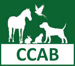 Find a CCAB - CCAB Certification